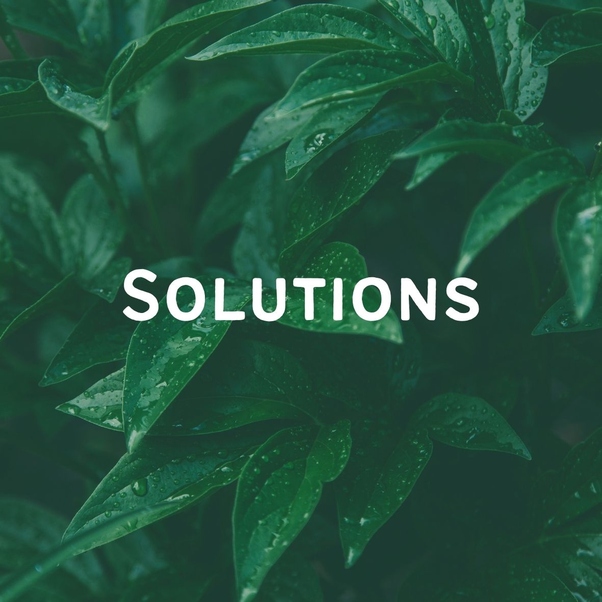 Green Stories Project – Writing for Sustainable Futures